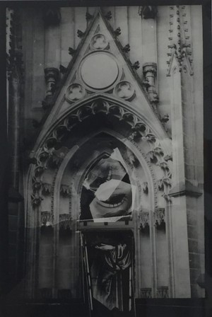 Flower Pepper Gallery