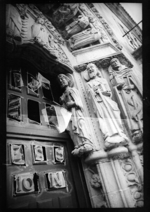 Flower Pepper Gallery